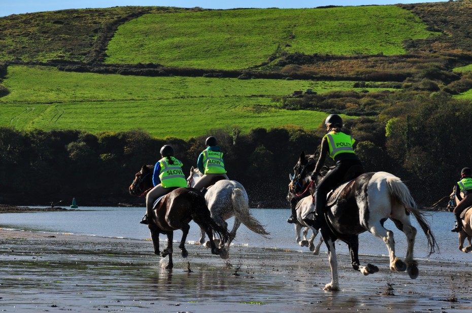 21654839093_36bd42ae3a_o - Dingle Horseriding holidays and treks Ireland