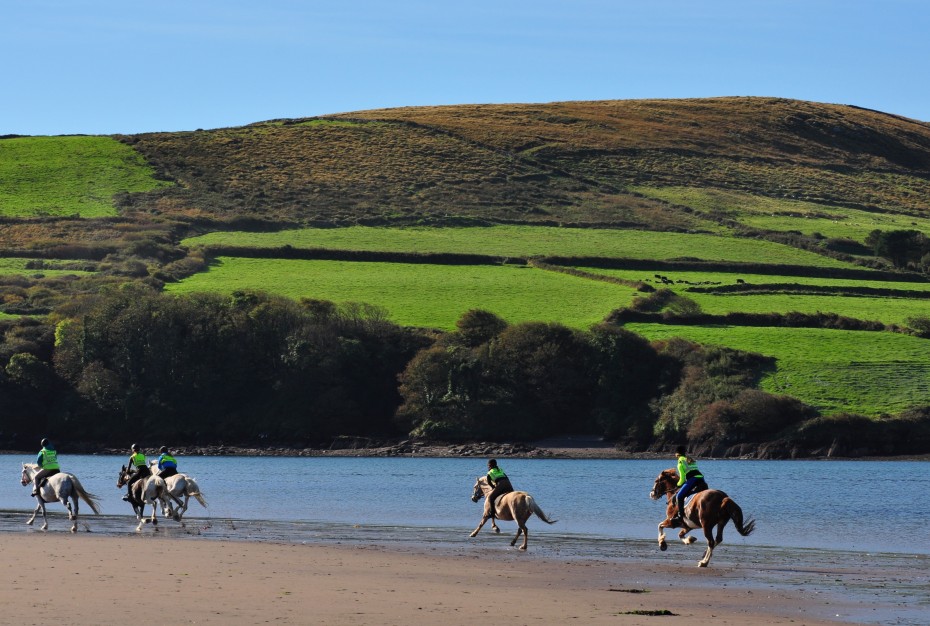 22168560666_743c12ea4d_o - Dingle Horseriding holidays and treks Ireland