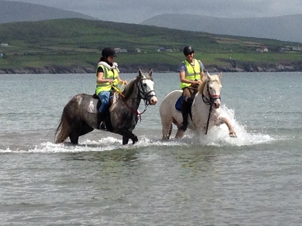 IMG_0923 - Dingle Horseriding holidays and treks Ireland