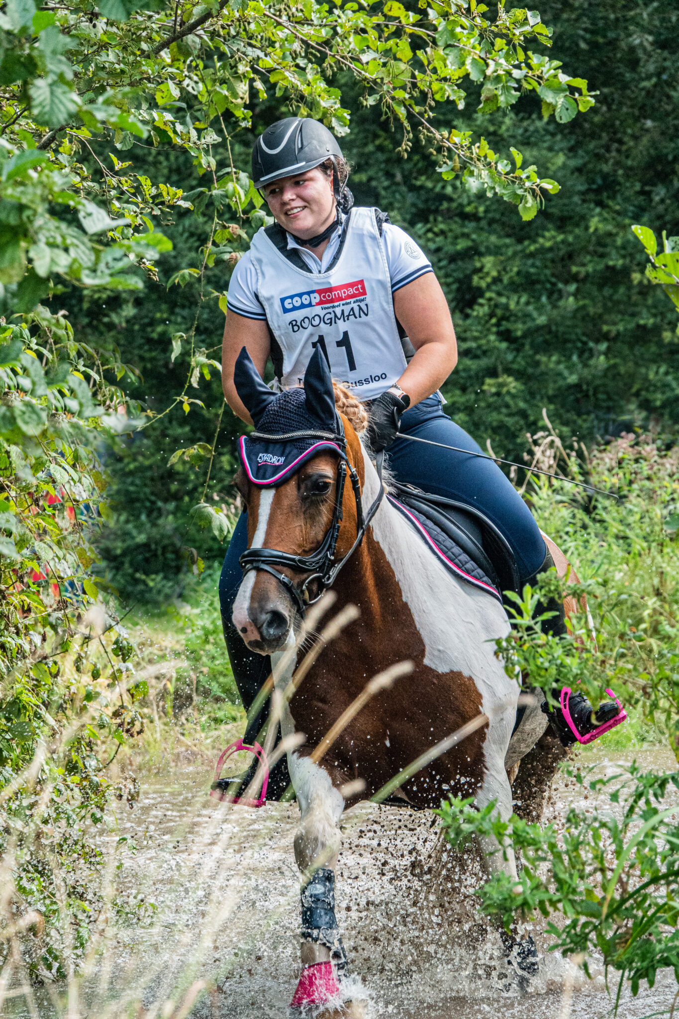 Dingle Horse Riding Team - Dingle Horseriding holidays and treks Ireland